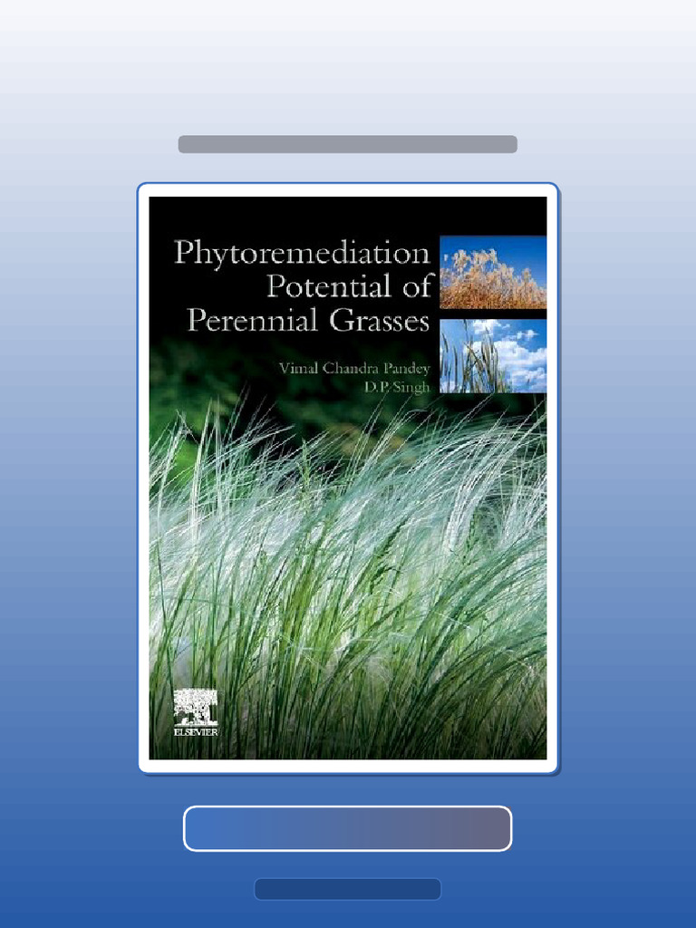 Phytoremediation Potential of Perennial Grasses 1st Edition Vimal ...