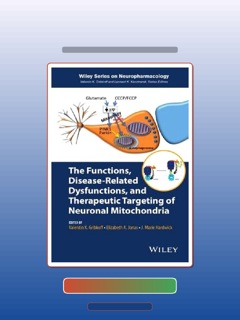 The Functions DiseaseRelated Dysfunctions and Therapeutic Targeting of ...