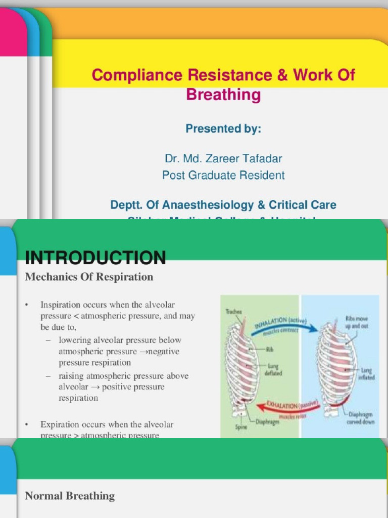 Lung Compliance | PDF