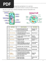 Amoeba Sisters - Intro To Cells Recap | PDF | Cell (Biology ...