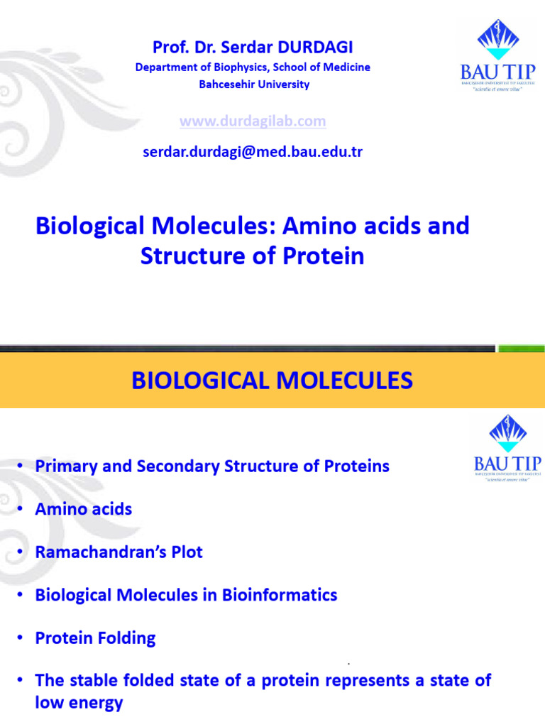 Biological Molecules: Amino Acids and Structure of Protein | PDF ...