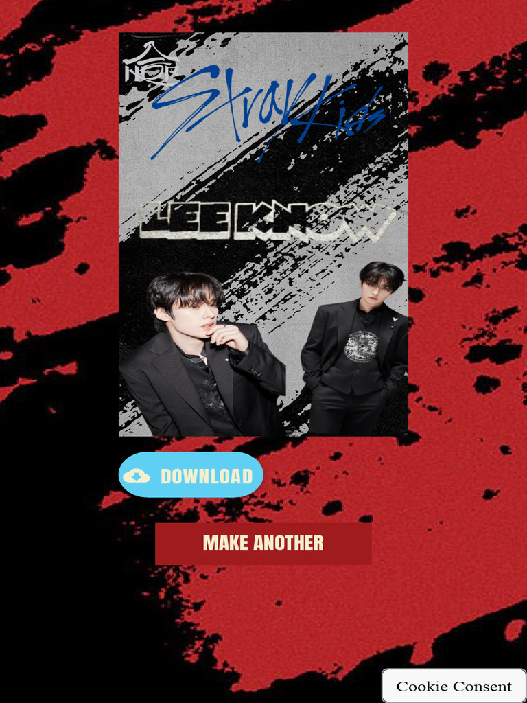Stray Kids | PDF