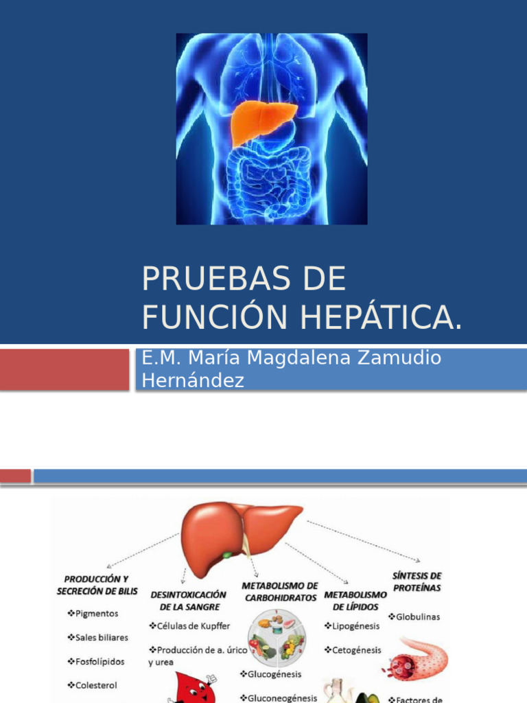 Pruebas de Función Hepática (Autoguardado) | PDF | Transaminasa ...