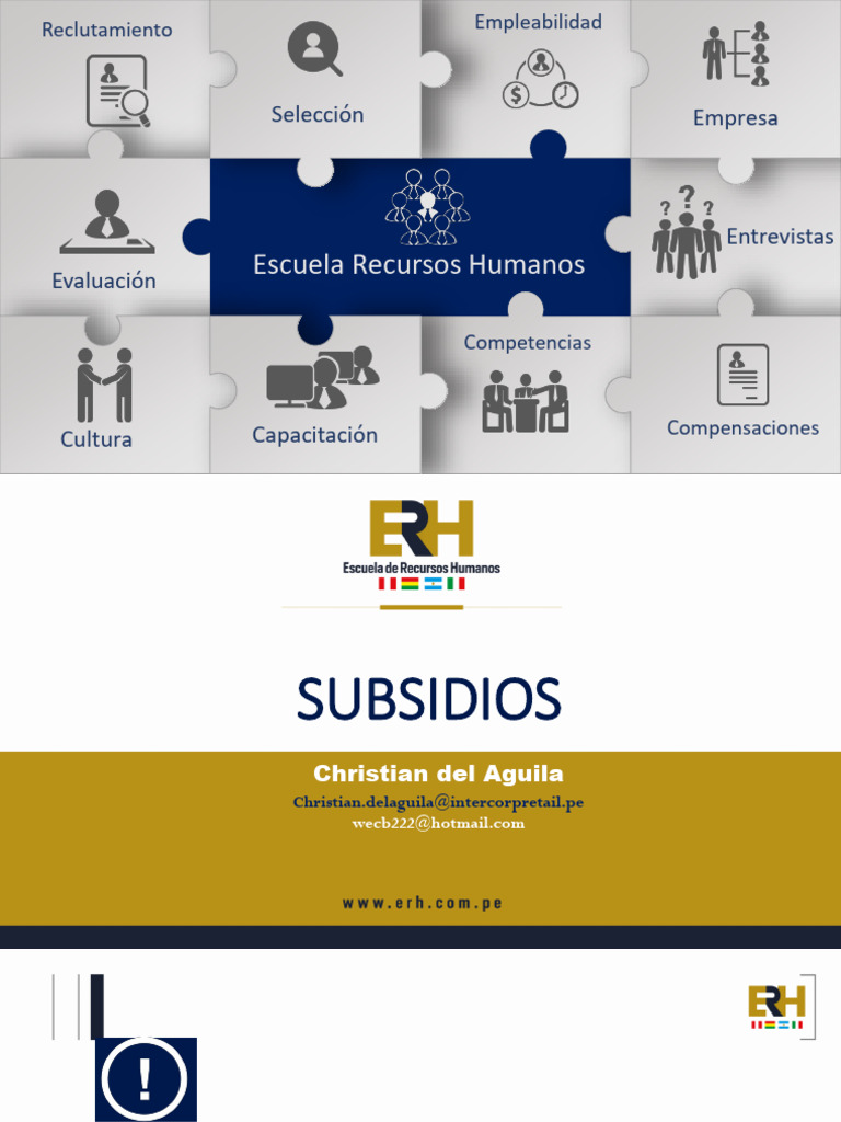 Ppt-Erh Modulo Subsidios 4 | PDF