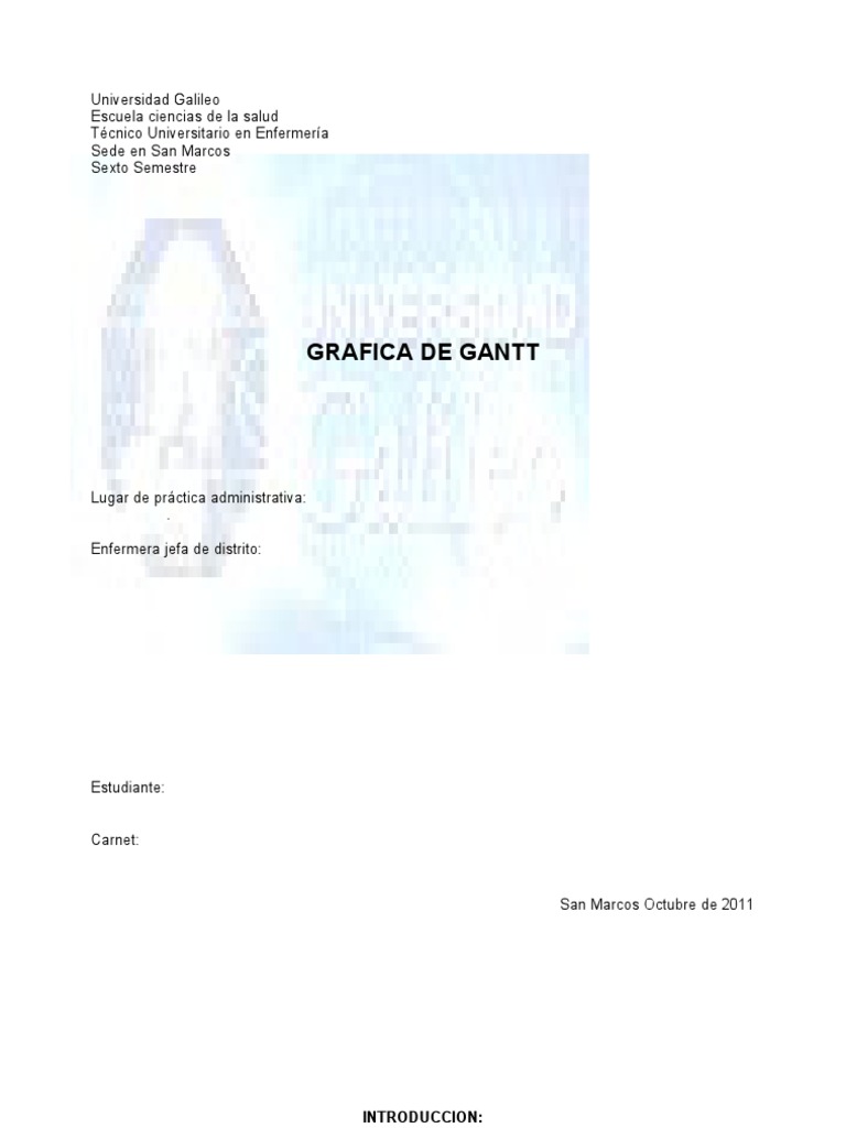 Grafica de Gantt | PDF | Enfermería | Planificación
