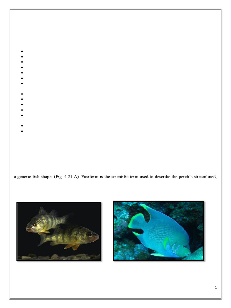 Fish Morphology: Structure and Function | PDF | Fish | Zoology