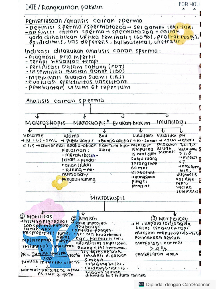 Materi OSPE Patklin B5.4 | PDF