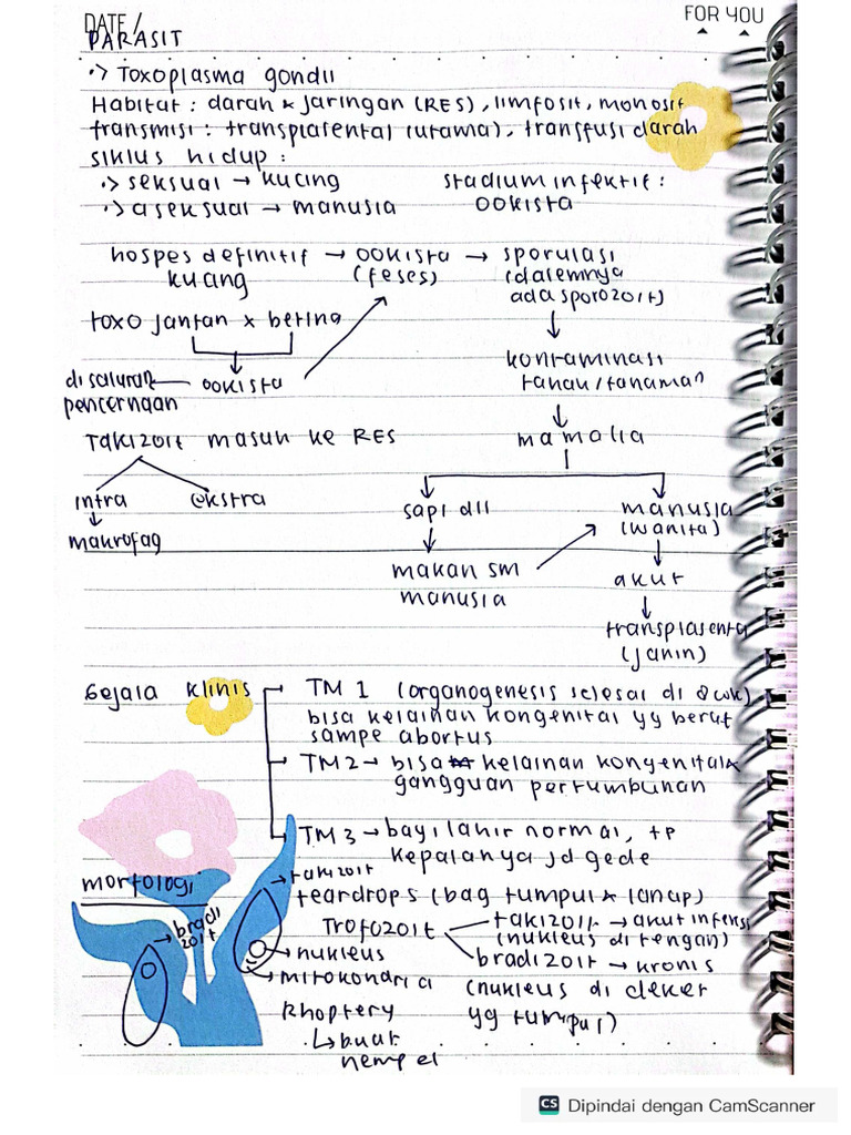 Materi OSPE Parasit B5.3 | PDF