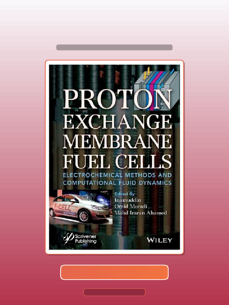 Proton Exchange Membrane Fuel Cells Inamuddin Official Test Bank | PDF ...