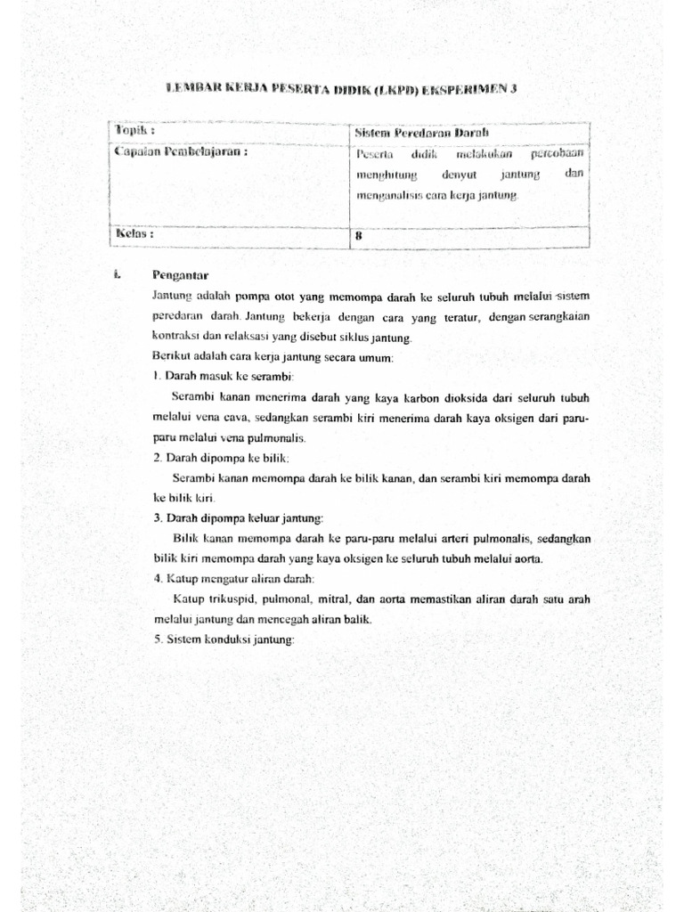 LKPD Eksperimen | PDF