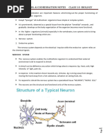 Class 10 - Bio - Control and Coordination - Notes | PDF | Neuron ...