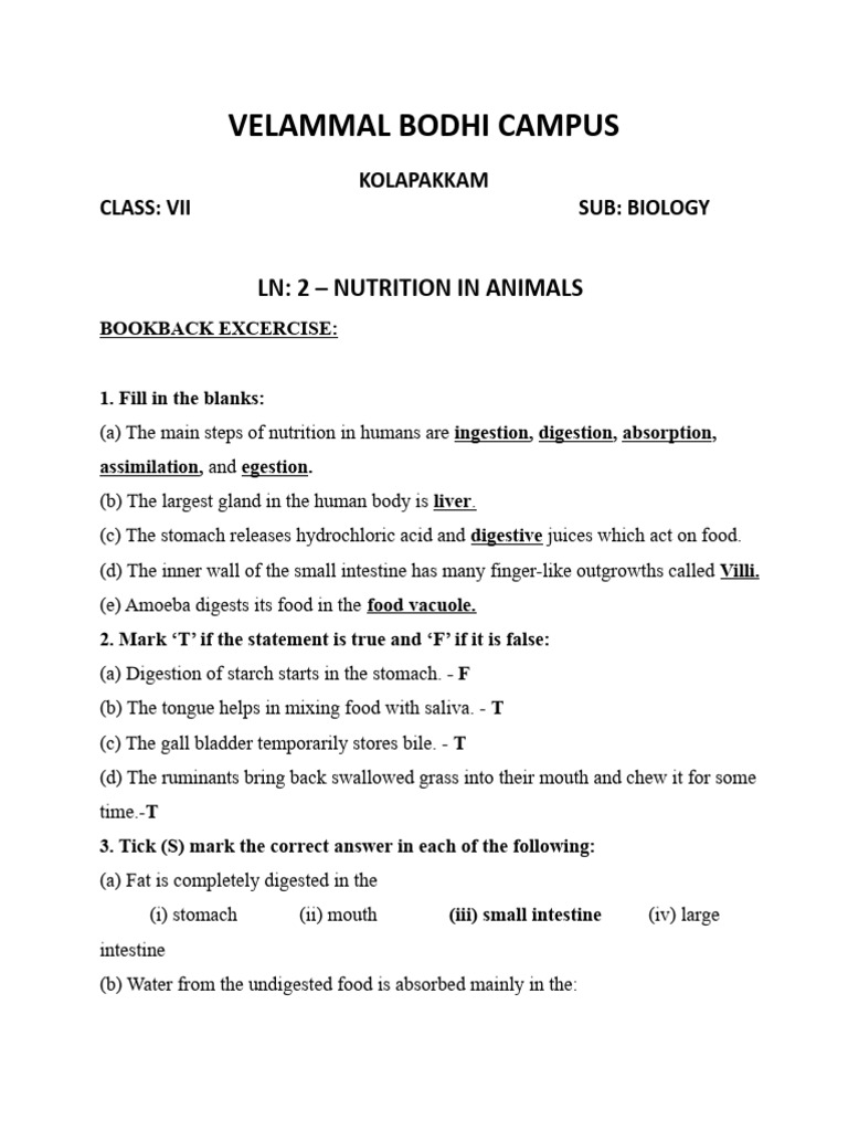 Grade 7 - 2 Lesson Notes | PDF | Digestion | Bile