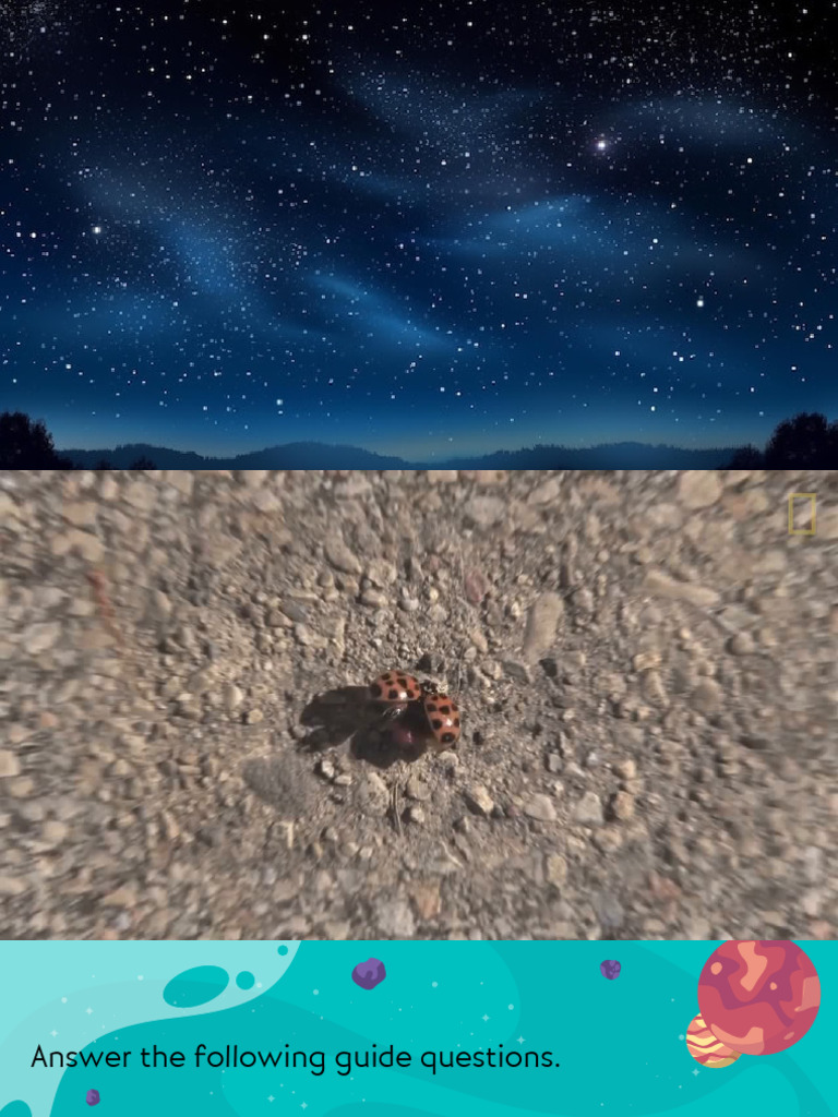 Phy Sci (Lesson 1 - Big Bang and Formation of Elements) PDF | PDF