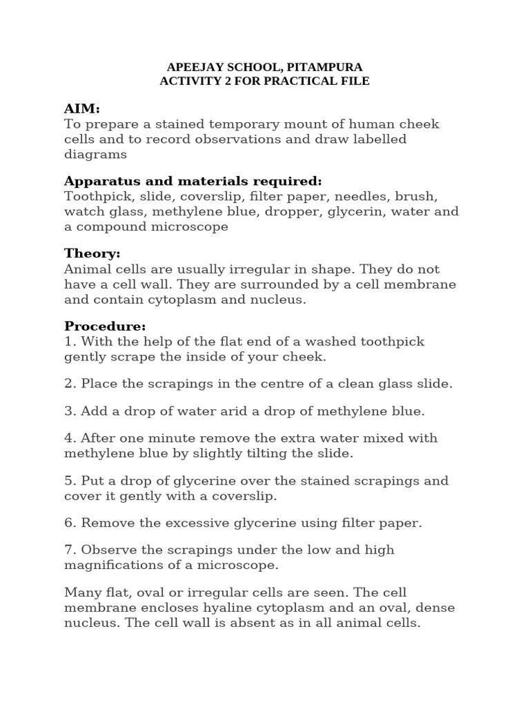 Human Cheek Cells | PDF