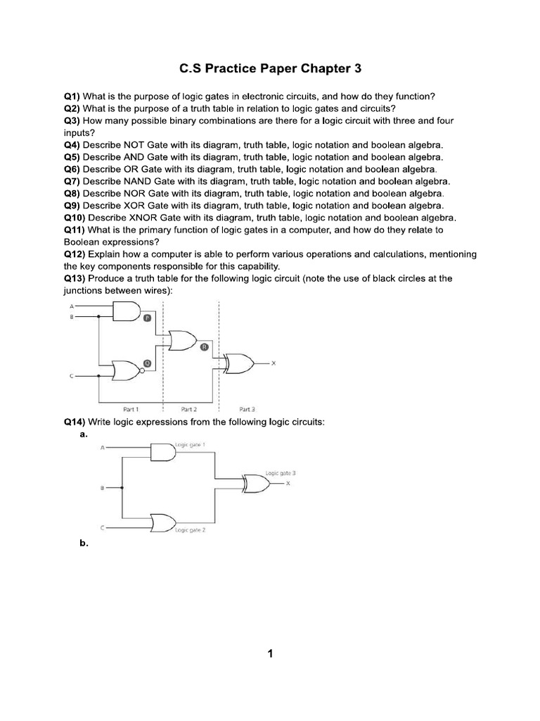 C.S Practice Paper Chapter 3 | PDF