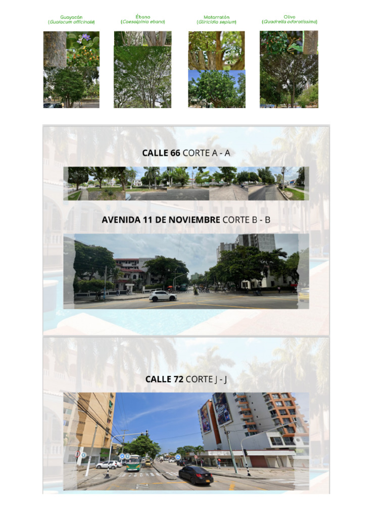 Imagenes Mapas 2 | PDF