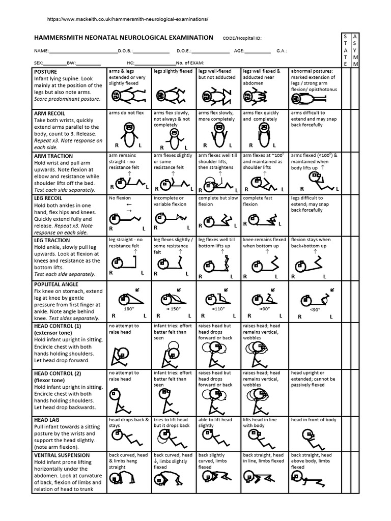 Hammersmith Neonatal Neurological Exam | PDF | Anatomical Terms Of ...