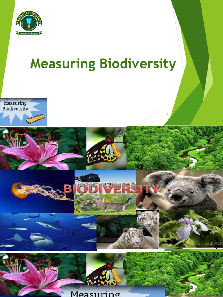 Measuring Beta and Gamma Diversity | PDF | Biodiversity | Ecology