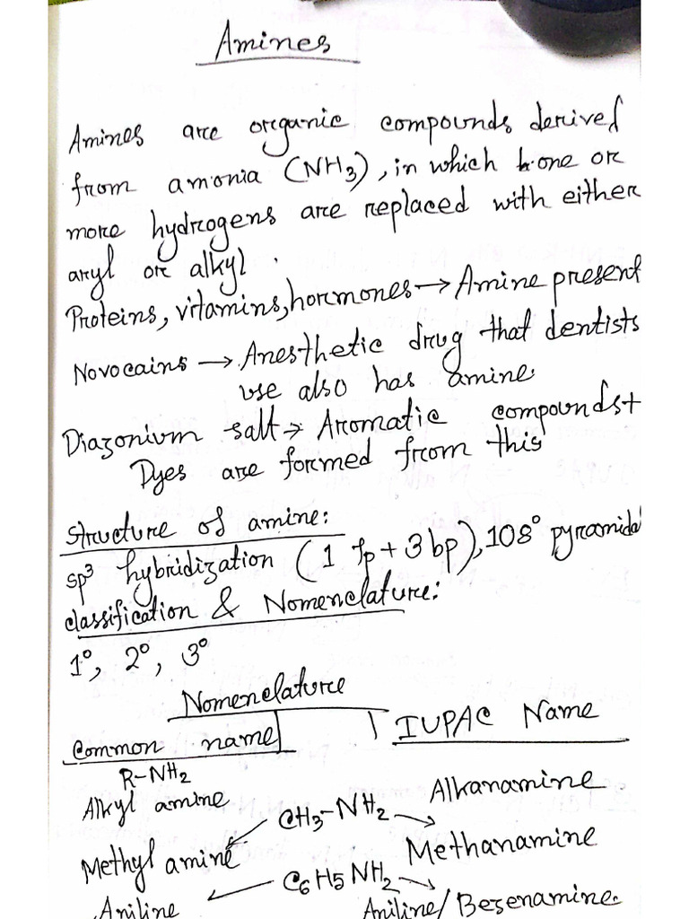 Amines Notes | PDF
