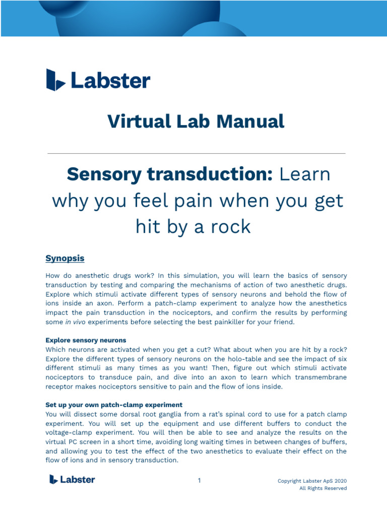 Lab Manual - Sensory Transduction - Learn Why You Feel Pain When You Get Hit by A Rock | PDF ...
