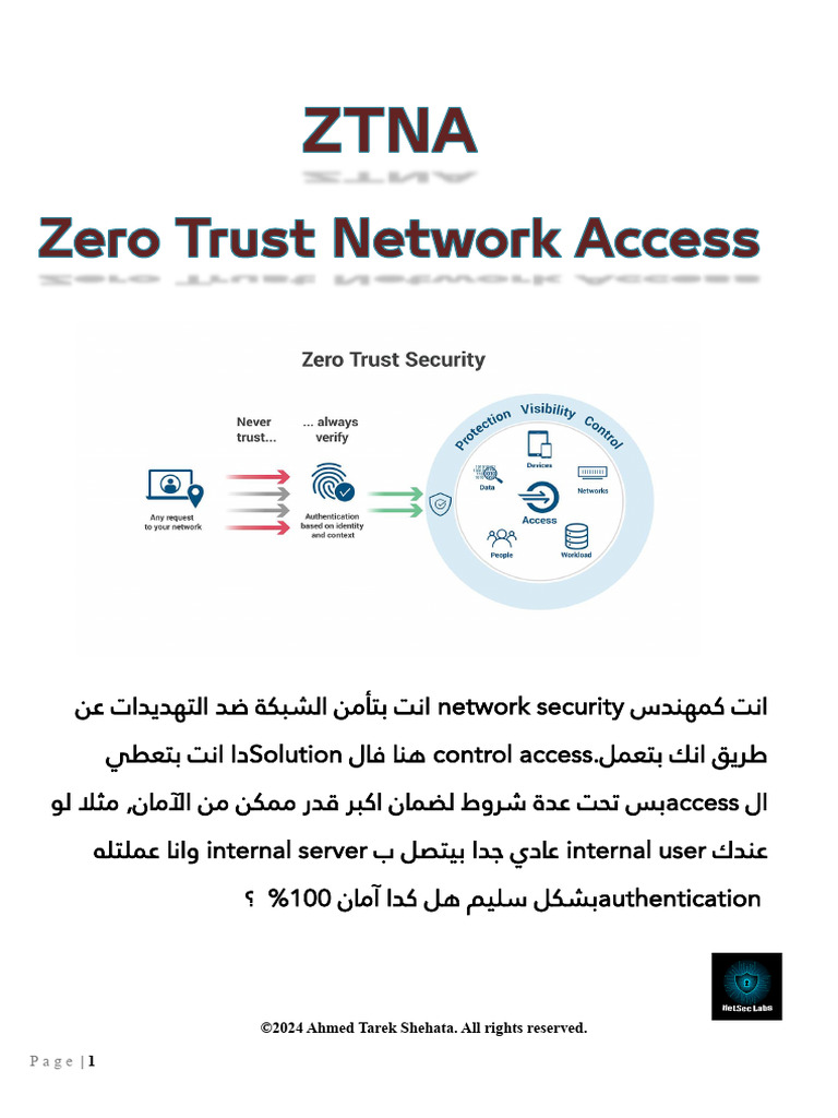 ZTNA (Zero Trust Network Access) | PDF