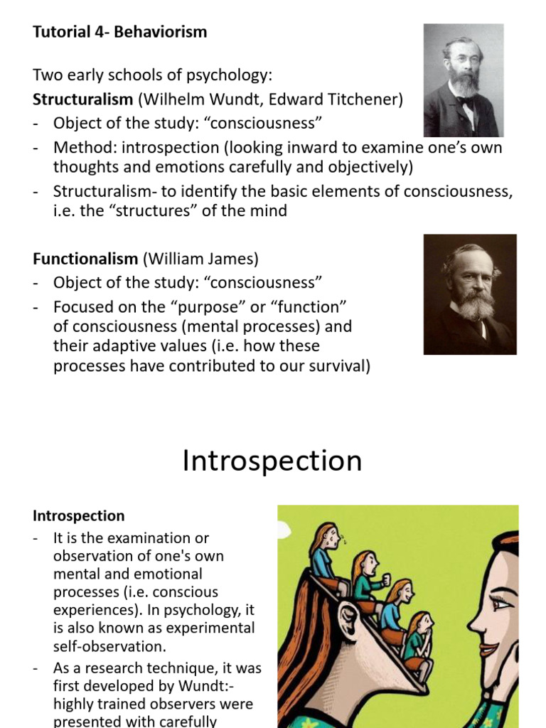 Tutorial 4 - Learning Theories (2025) | PDF | Reinforcement | Behaviorism