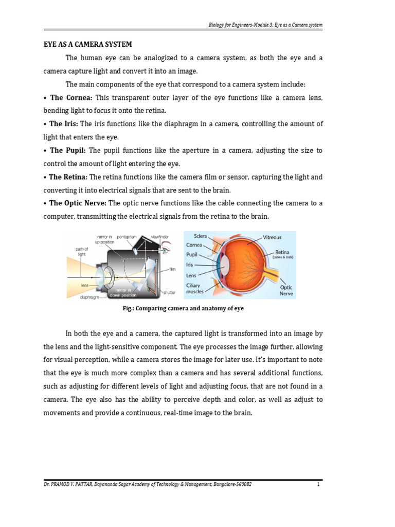 Eye Structure as Camera System | PDF | Cataract | Eye