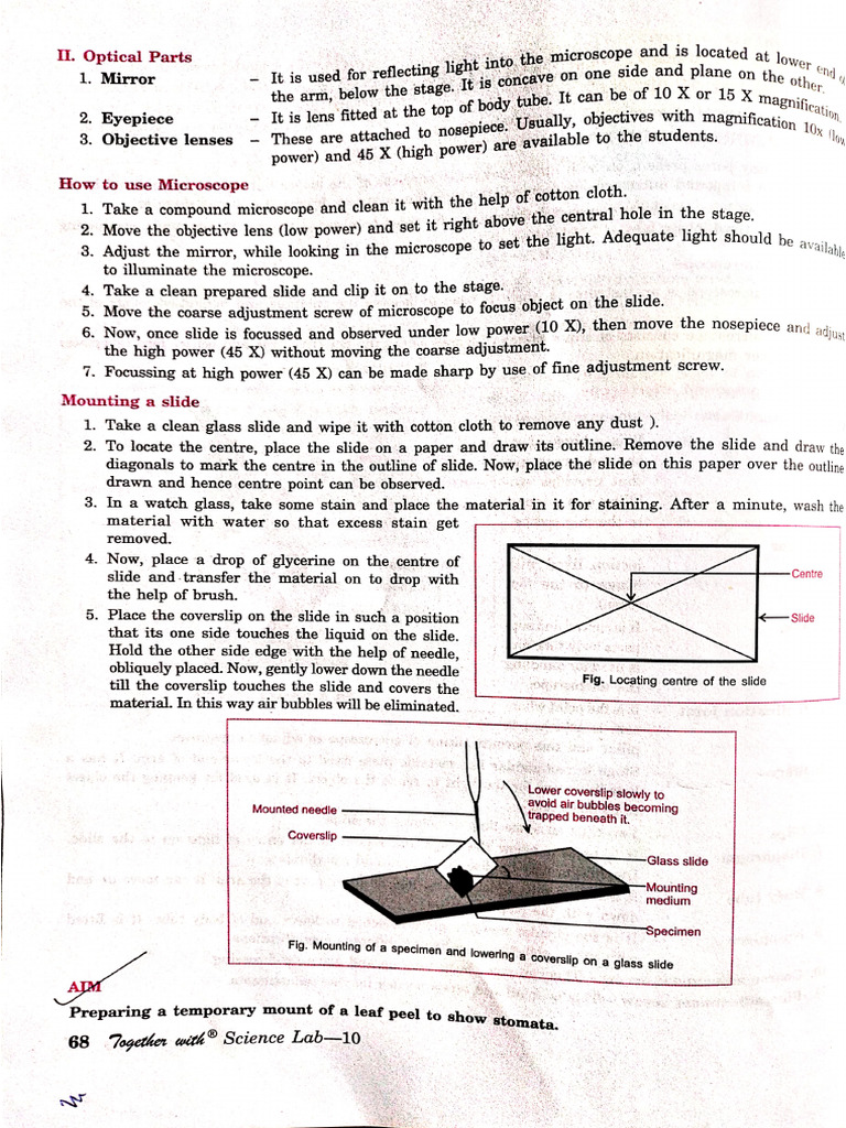 Biology Lab Practical (Class - X) | PDF