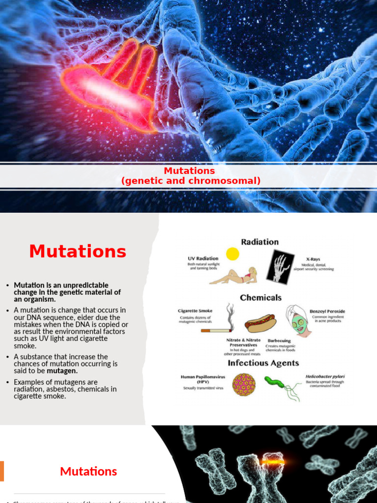 Prezentacija 6 Mutations (Genetic and Chromosomal) | PDF | Ploidy | Genetic Disorder