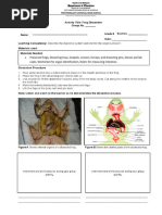 Frog Digestive System Dissection Guide | PDF | Gastrointestinal Tract ...