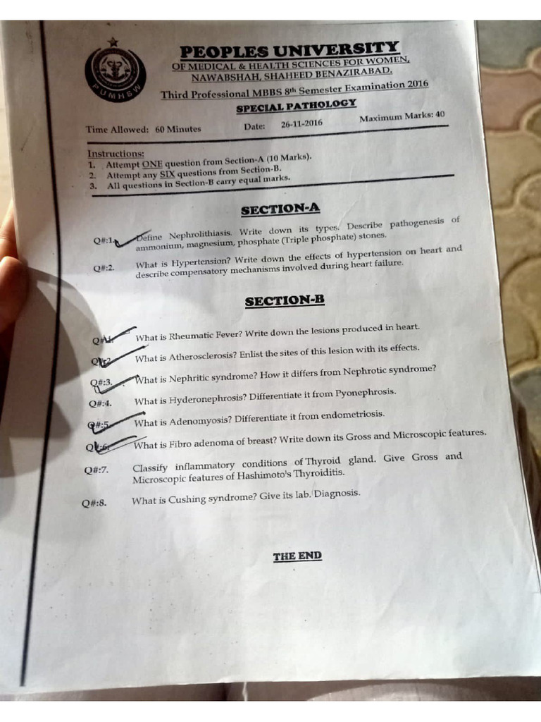 Special Pathology Ecqs | PDF