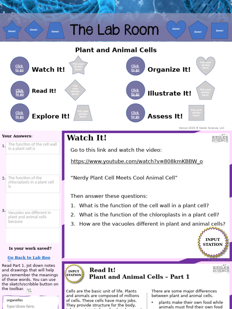 2 Exploration - Plant and Animal Cells Station Lab v2 - Digital ...