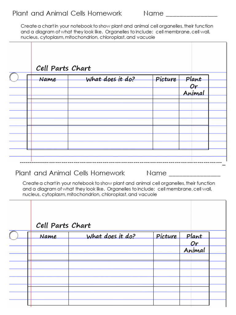 5 Evaluation - Plant and Animal Cells Homework | PDF