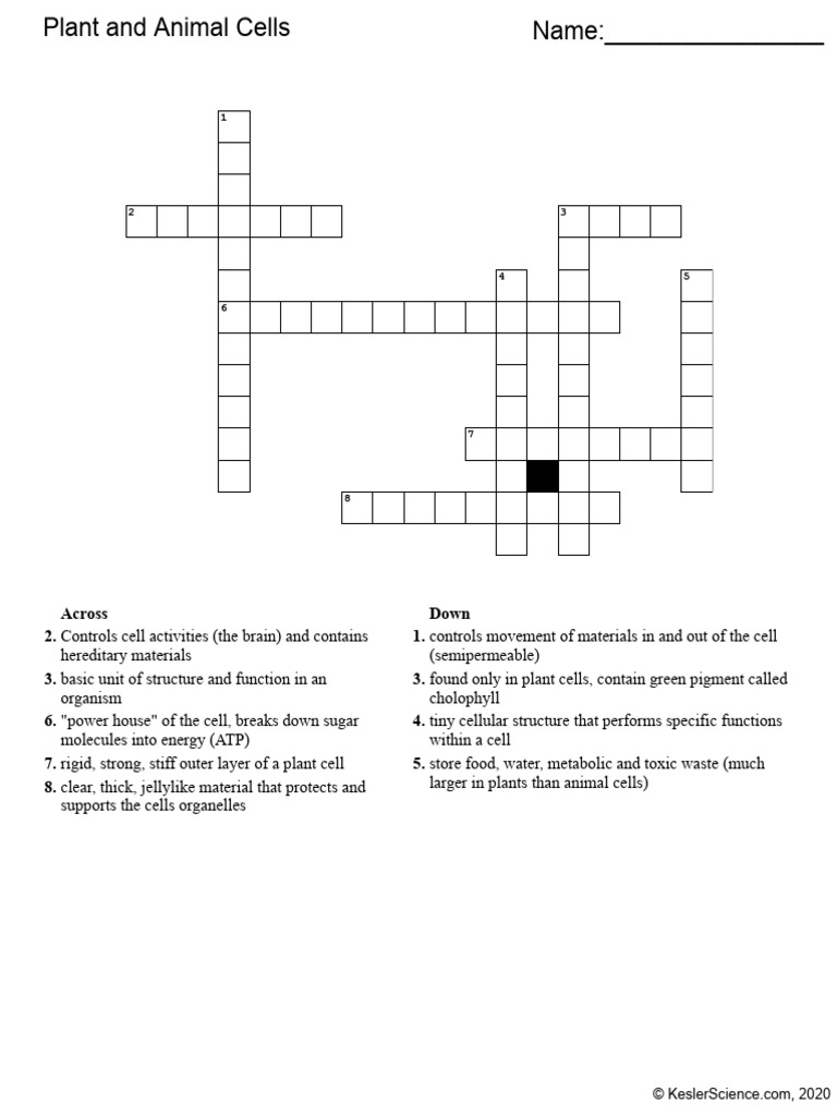 5 Evaluation - Plant and Animal Cells Crossword Puzzle | PDF | Cell ...