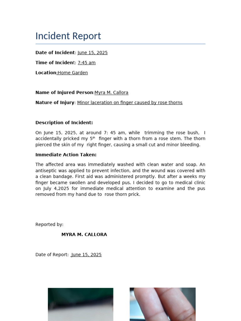 Incident Report Rose Thorn - Myra | PDF