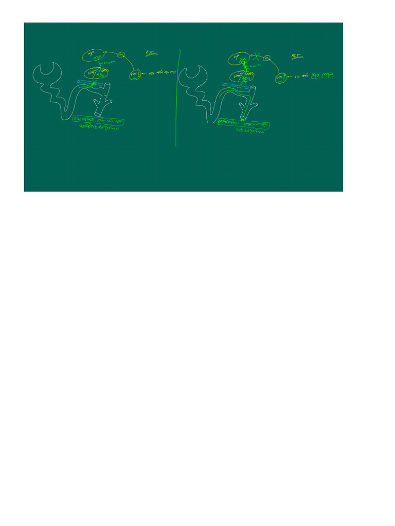 Adh 1 | PDF