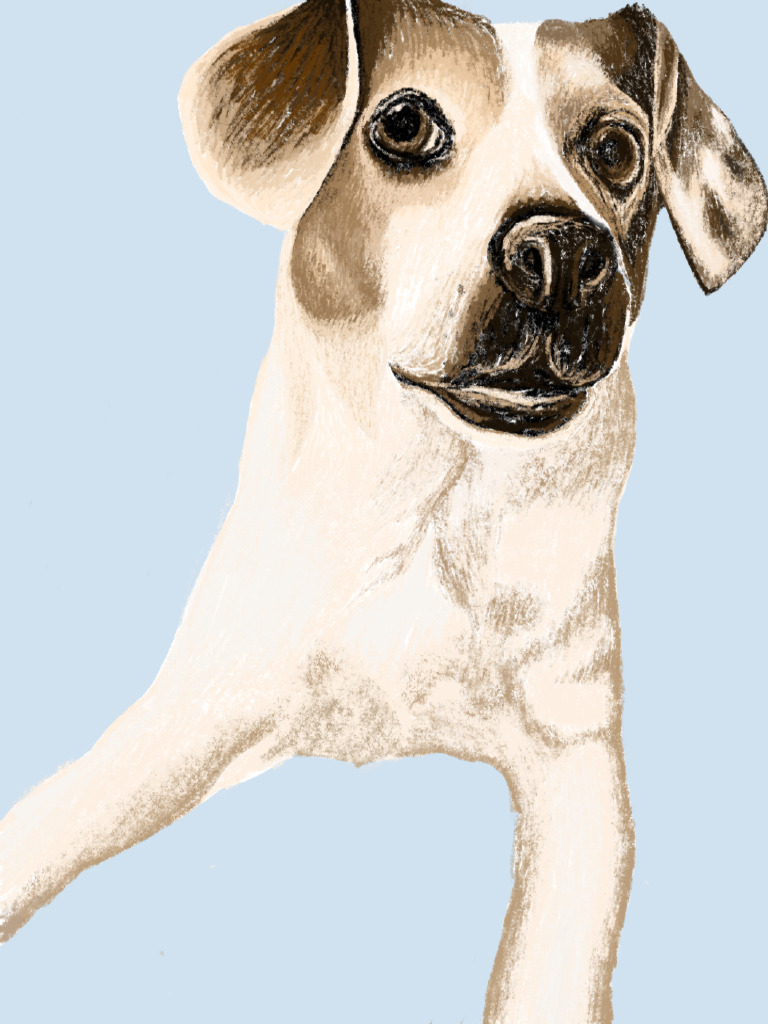 Dog Artwork | PDF