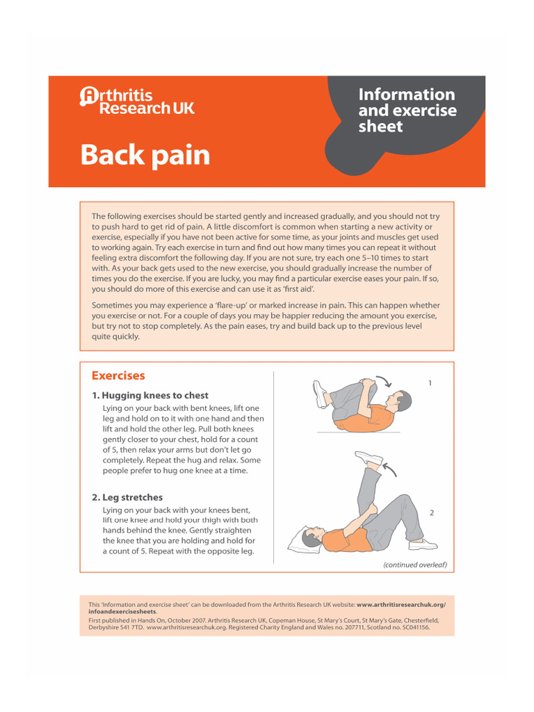 Low Back Pain Exercises | PDF