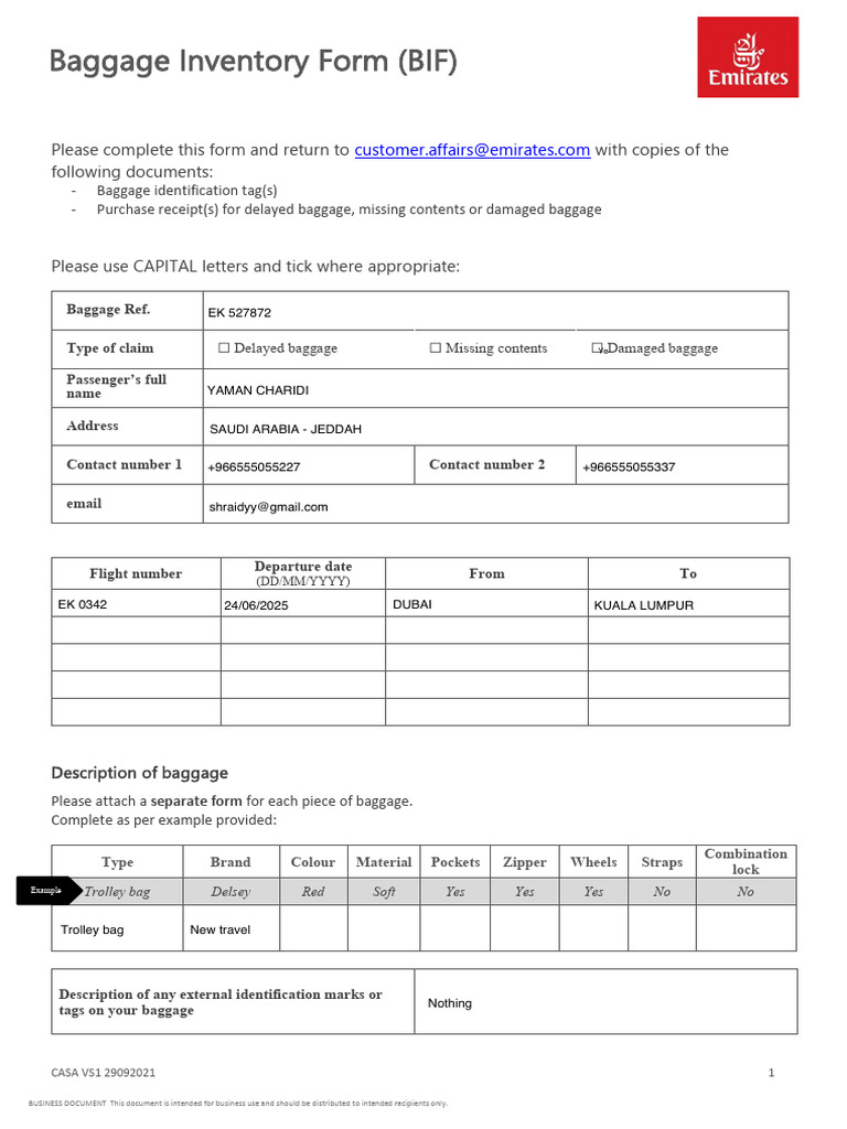 Baggage Inventory Form (BIF) | PDF | Baggage
