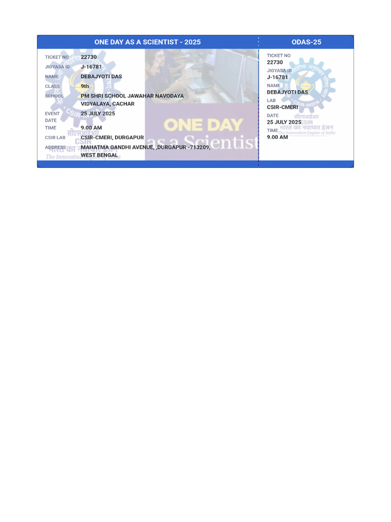 Ticket | PDF