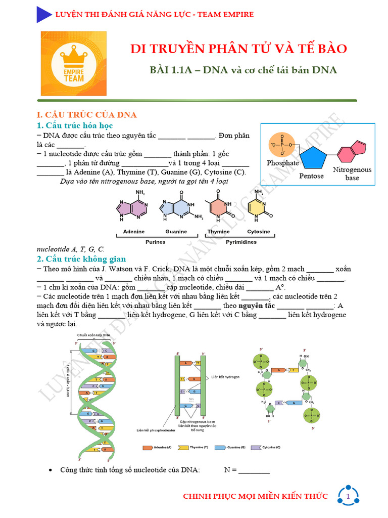 Di Truy Nphânt Và T BÀO: BÀI 1.1A Tái B N Dna | PDF