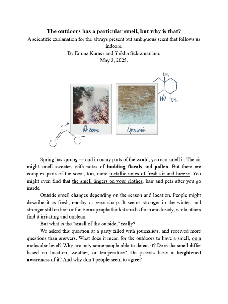 Understanding Outdoor Smells | PDF | Odor | Neuroscience
