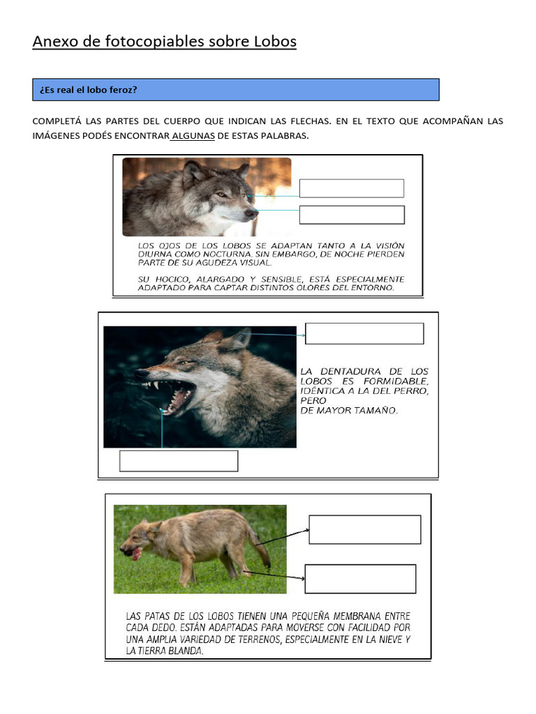 Anexo de Fotocopiables Sobre Lobos | PDF