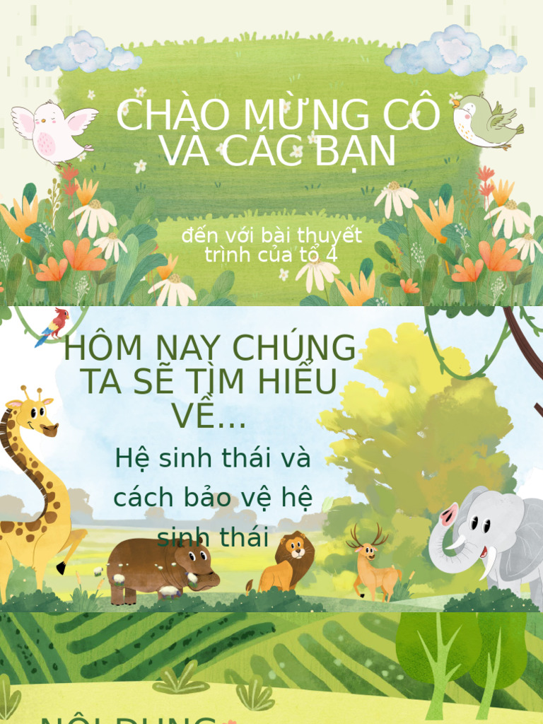 Chào M NG Cô Và Các B N | PDF