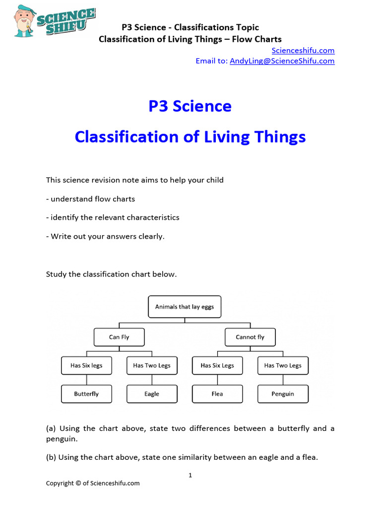 Science Revision Notes - P3 Topic Characteristics of Living Things With ...