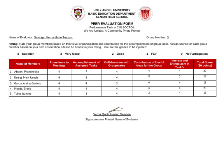 Peer Evaluation Form - We Are Unique-A Community Photo Project | PDF ...