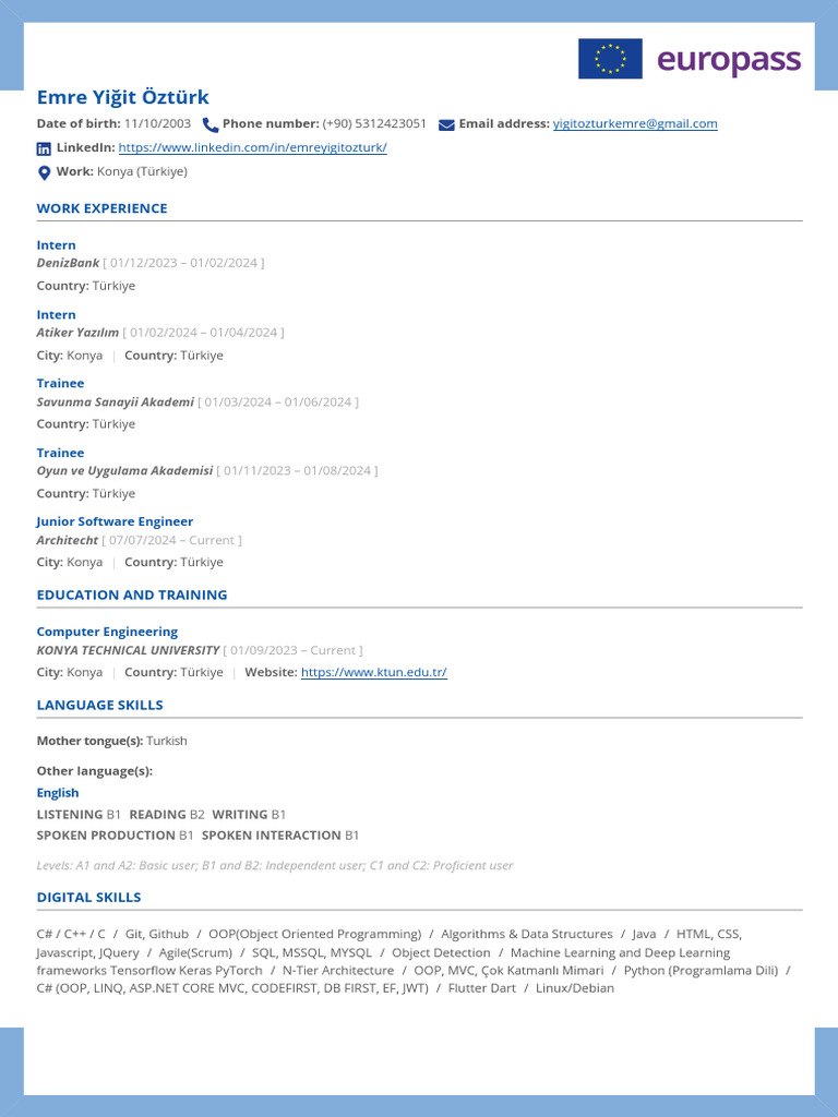 Emre Yigit Ozturk CV Europass | PDF