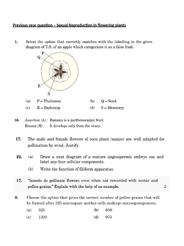 PYQs - Sexual Reproduction in Flowering Plants | PDF