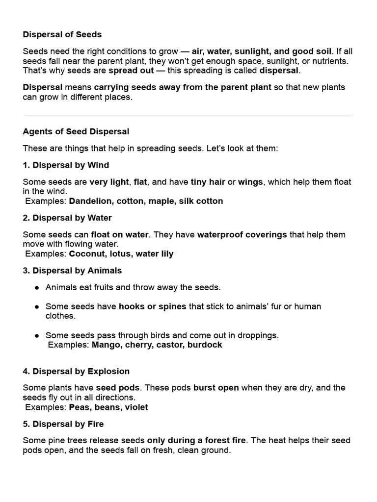 Seed Dispersal Methods Explained | PDF