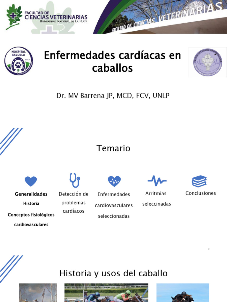 Enfermedades Cardíacas en Caballos | PDF | Sistema cardiovascular | Corazón